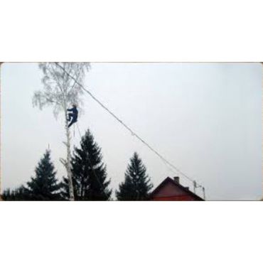 Steve And Sandra Tree Services in Mississauga, ON | 4163176969 | 411.ca