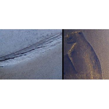 PetroSleeve Inc. in Nisku, AB | 7809552401 | 411.ca