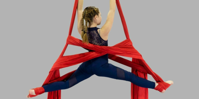 Phoenix Flyers Level 1 ~ Ages 11-15