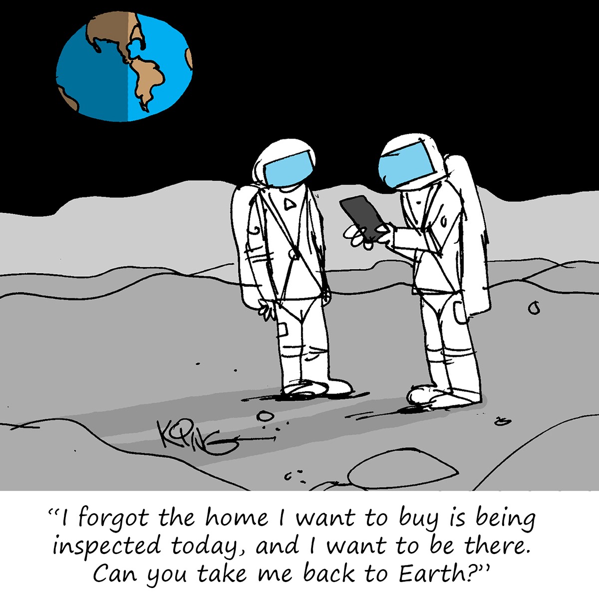 Back to Earth - Inspection Gallery - InterNACHI®