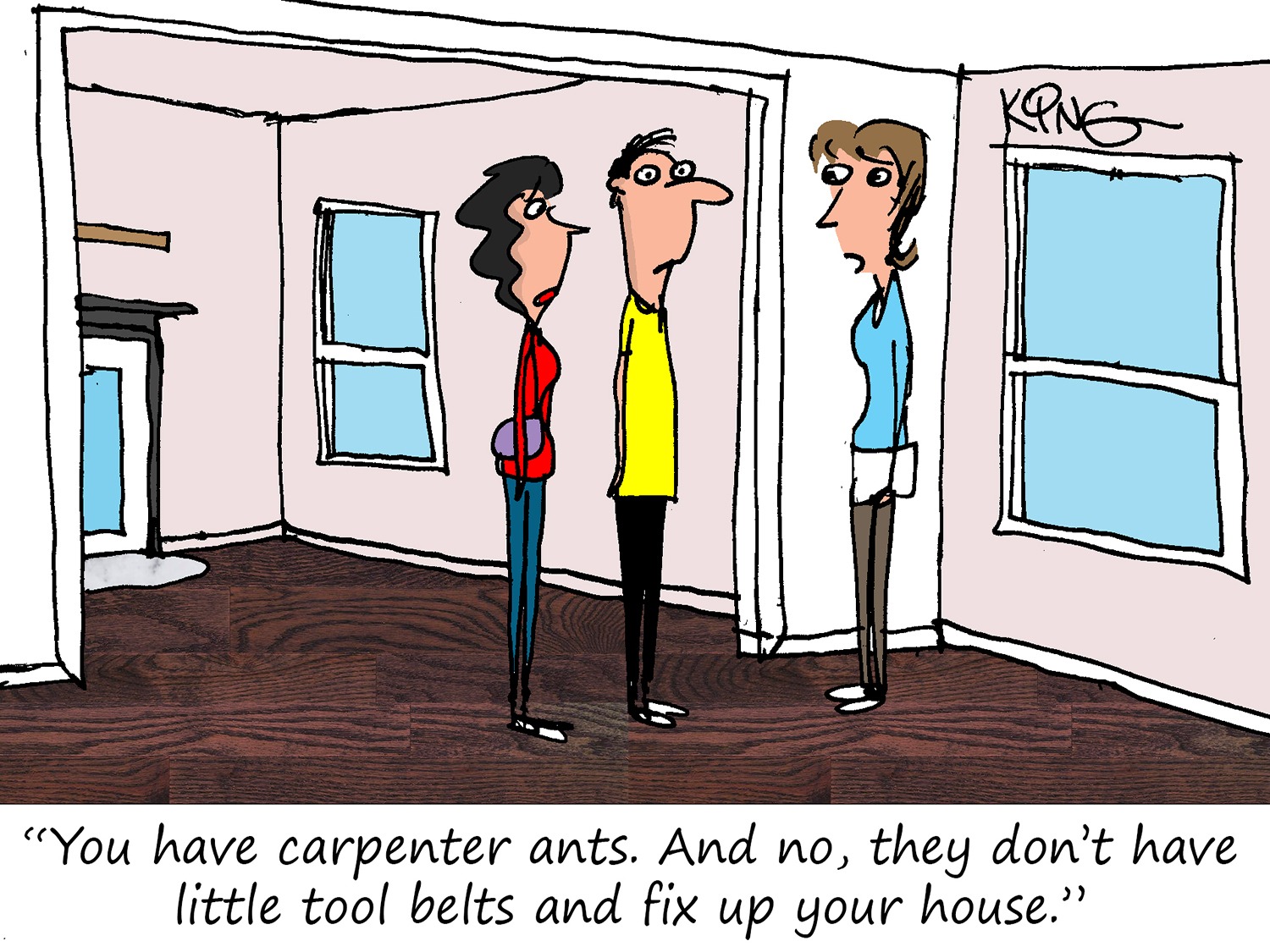 Carpenter Ants - Inspection Gallery - InterNACHI®