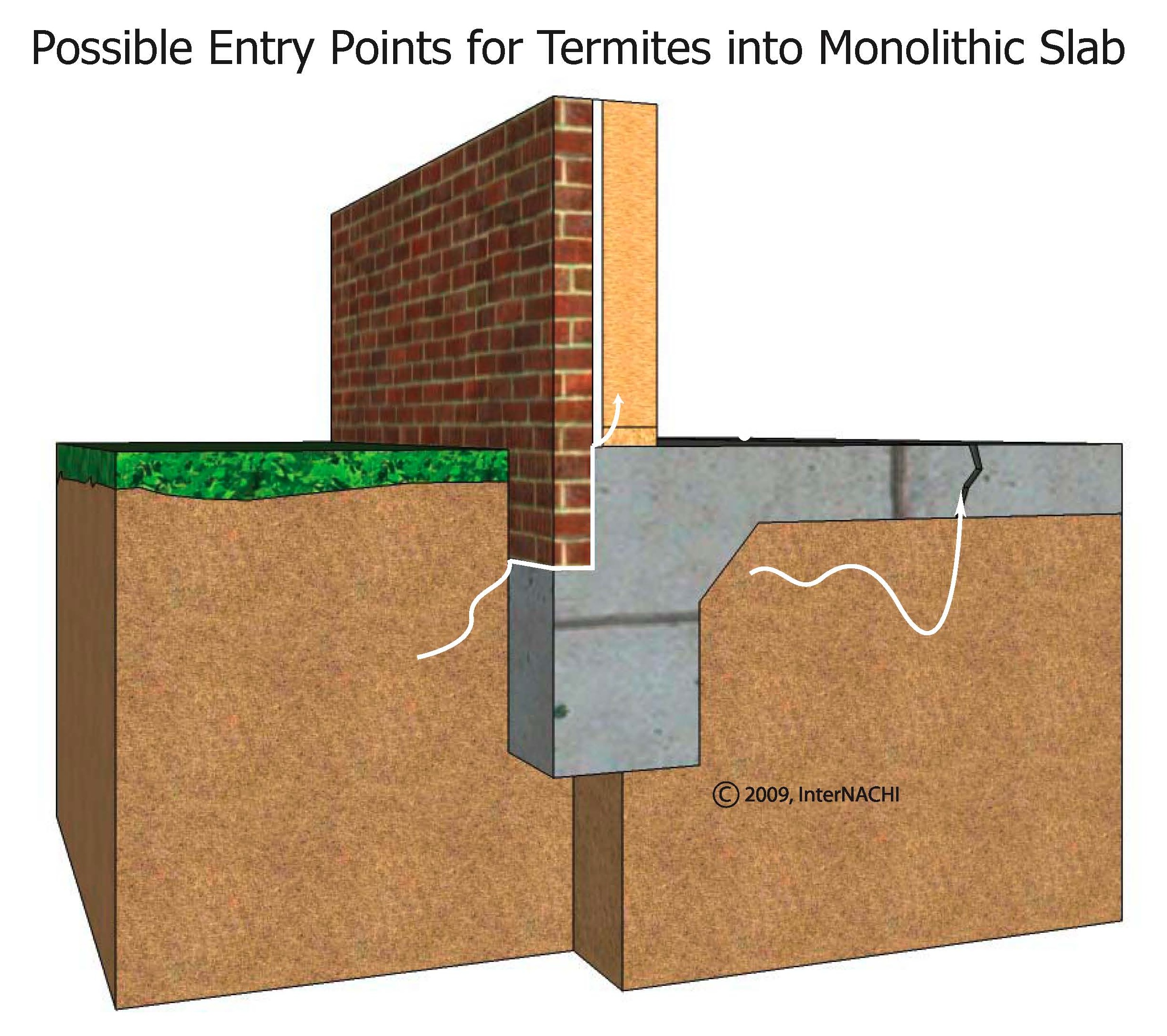 Termite Entry Into a Monolithic Slab - Inspection Gallery - InterNACHI®