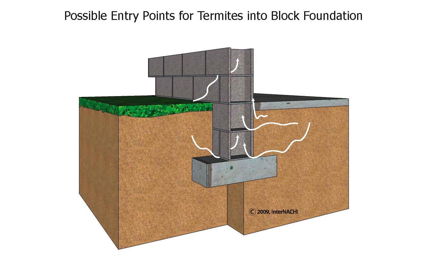 Termite Entry Into a Block Foundation - Inspection Gallery - InterNACHI®