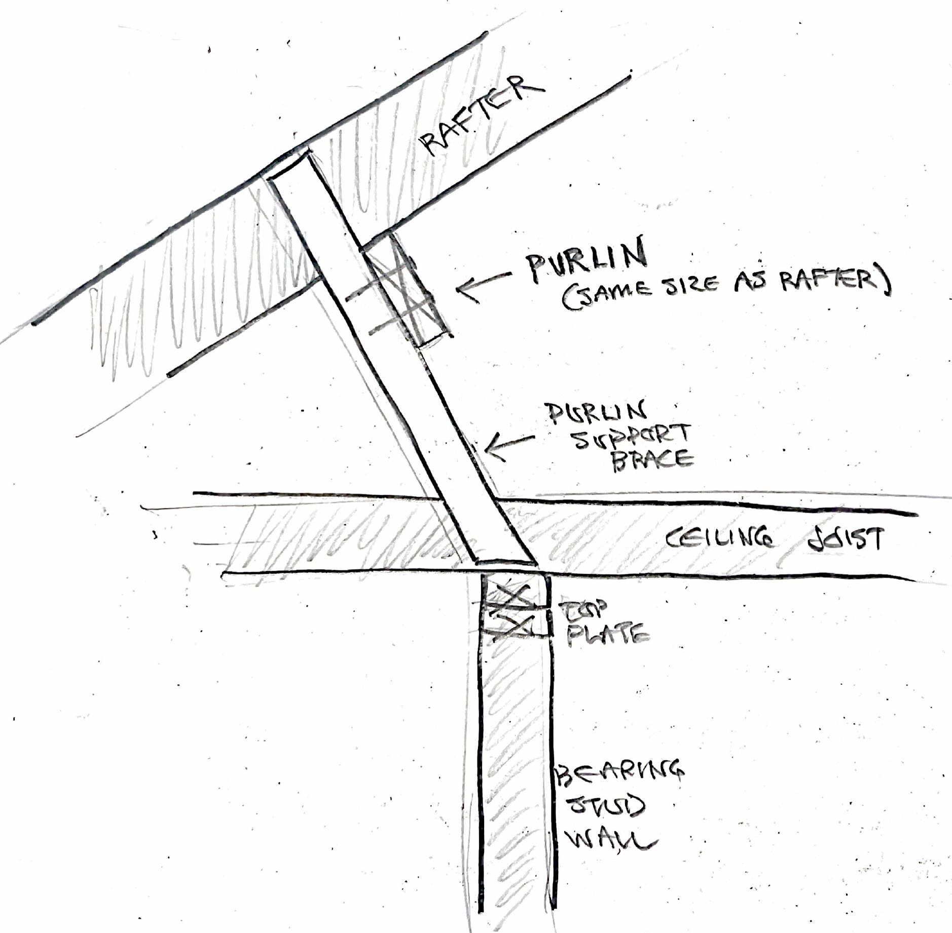 Purlin Example - Inspection Gallery - InterNACHI®