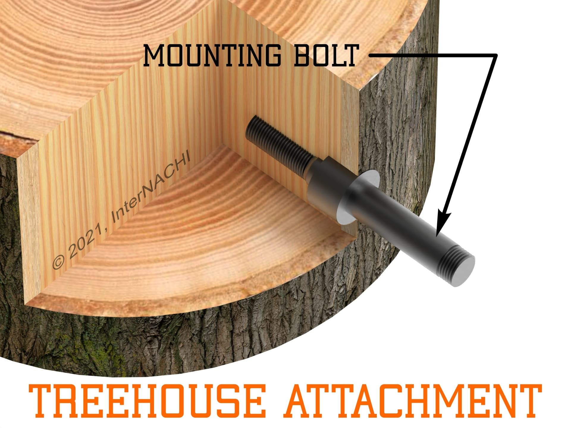Treehouse Attachment - Inspection Gallery - InterNACHI®