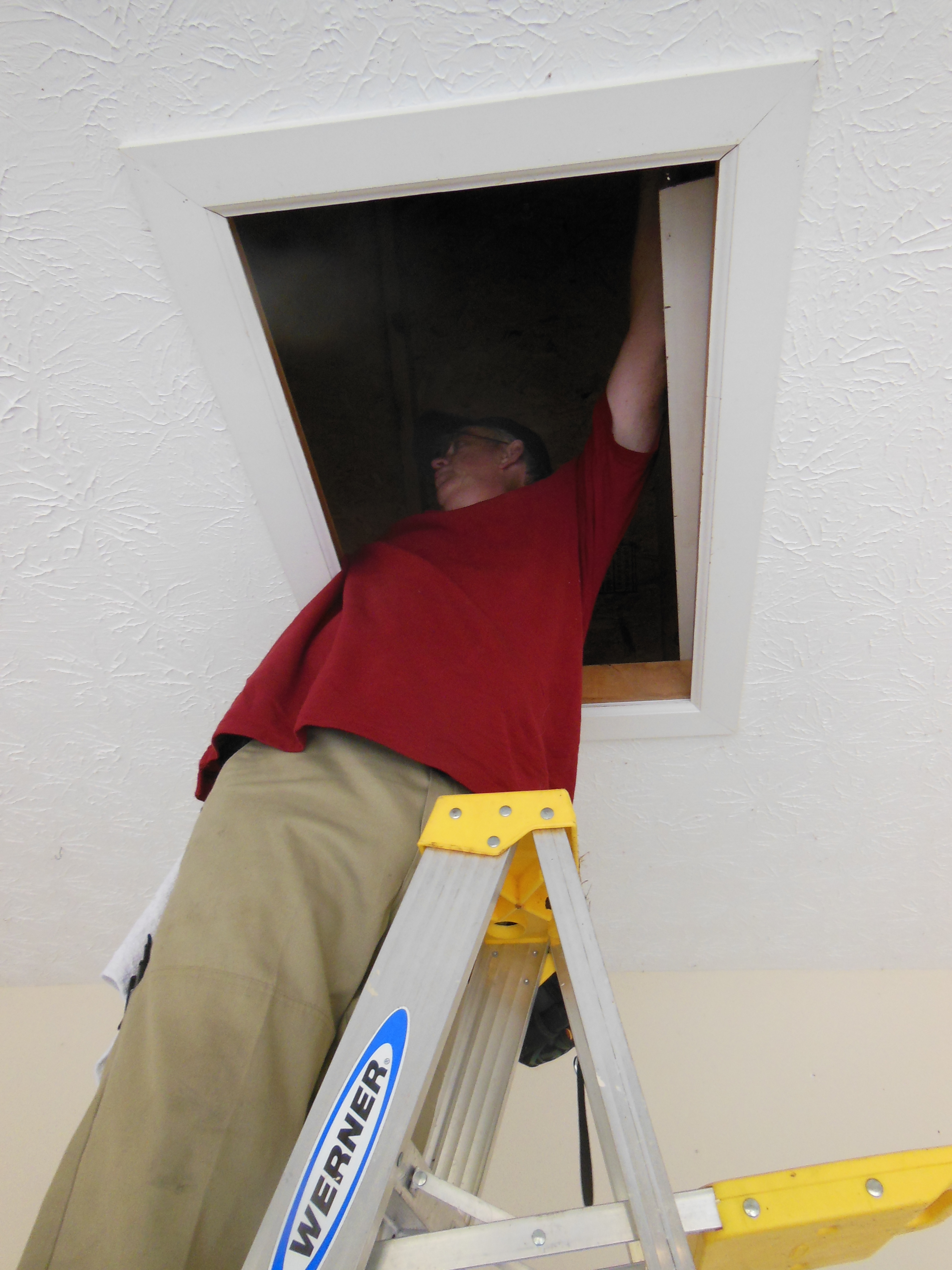 Attic Inspection - Inspection Gallery - InterNACHI®