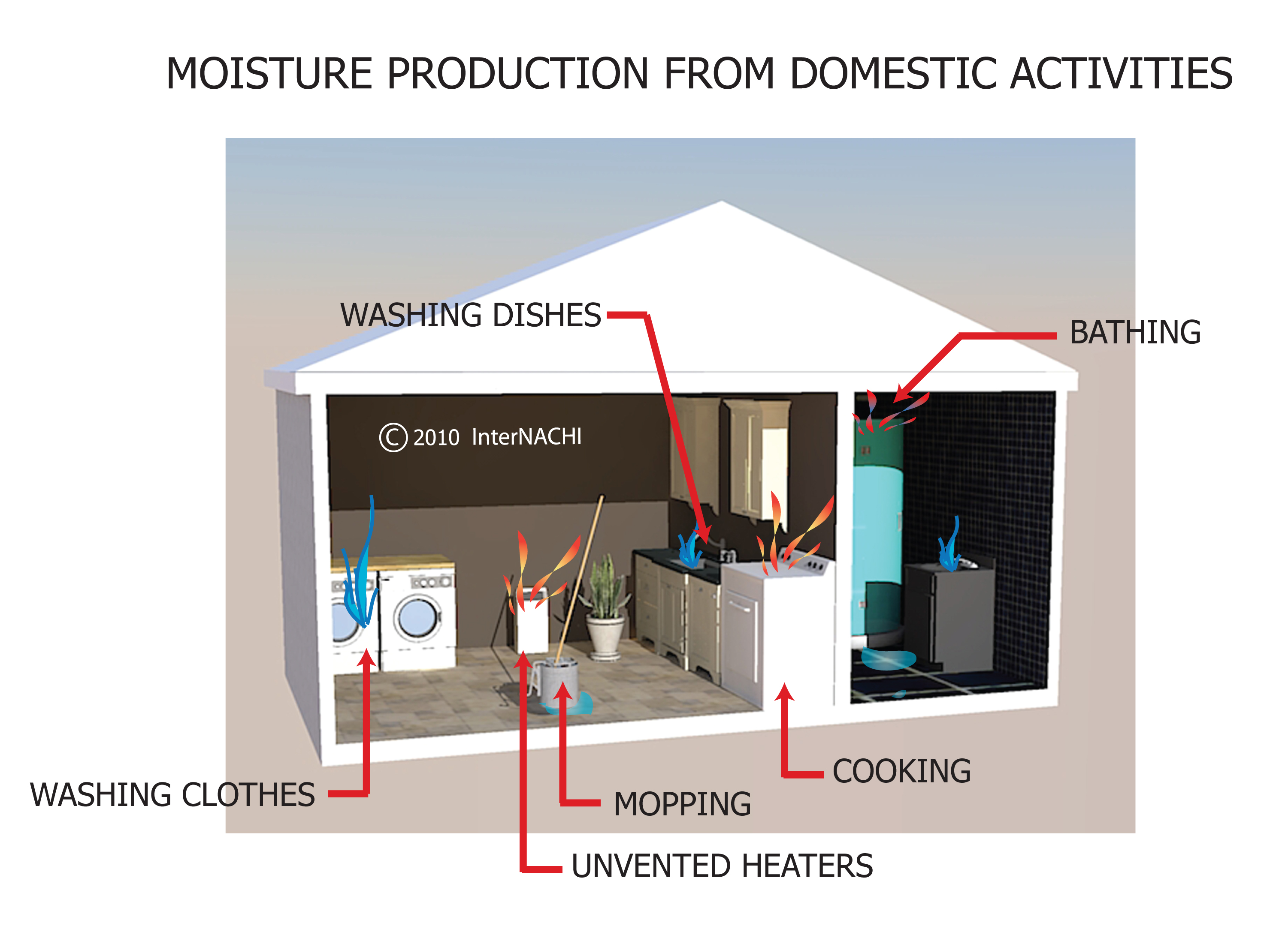 Moisture Production from Domestic Activities - Inspection Gallery ...
