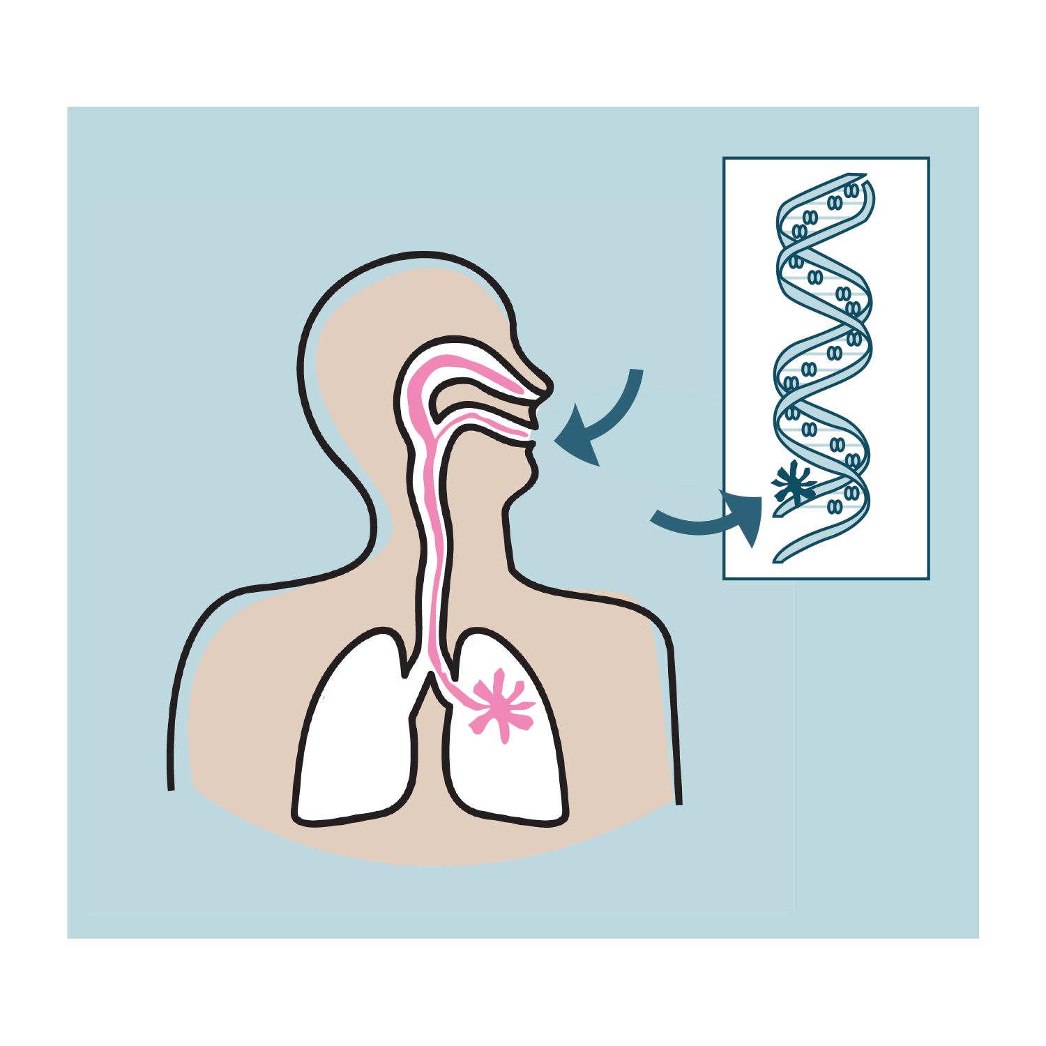 Genetic Damage Caused by Radon - Inspection Gallery - InterNACHI®