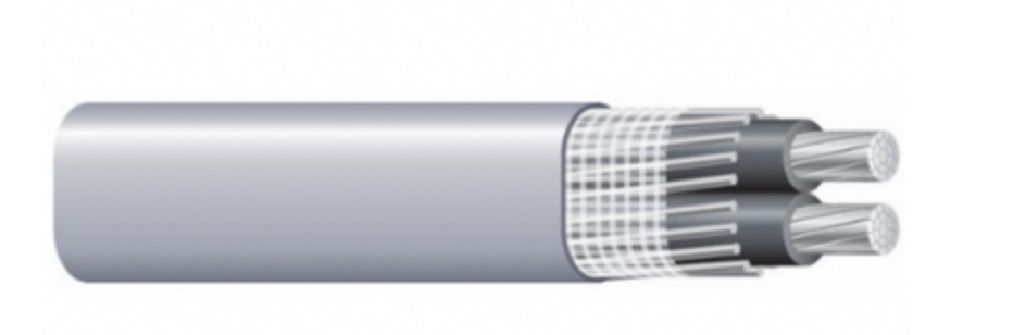 Inspecting the Main Electrical Panelboard During a Home Inspection ...