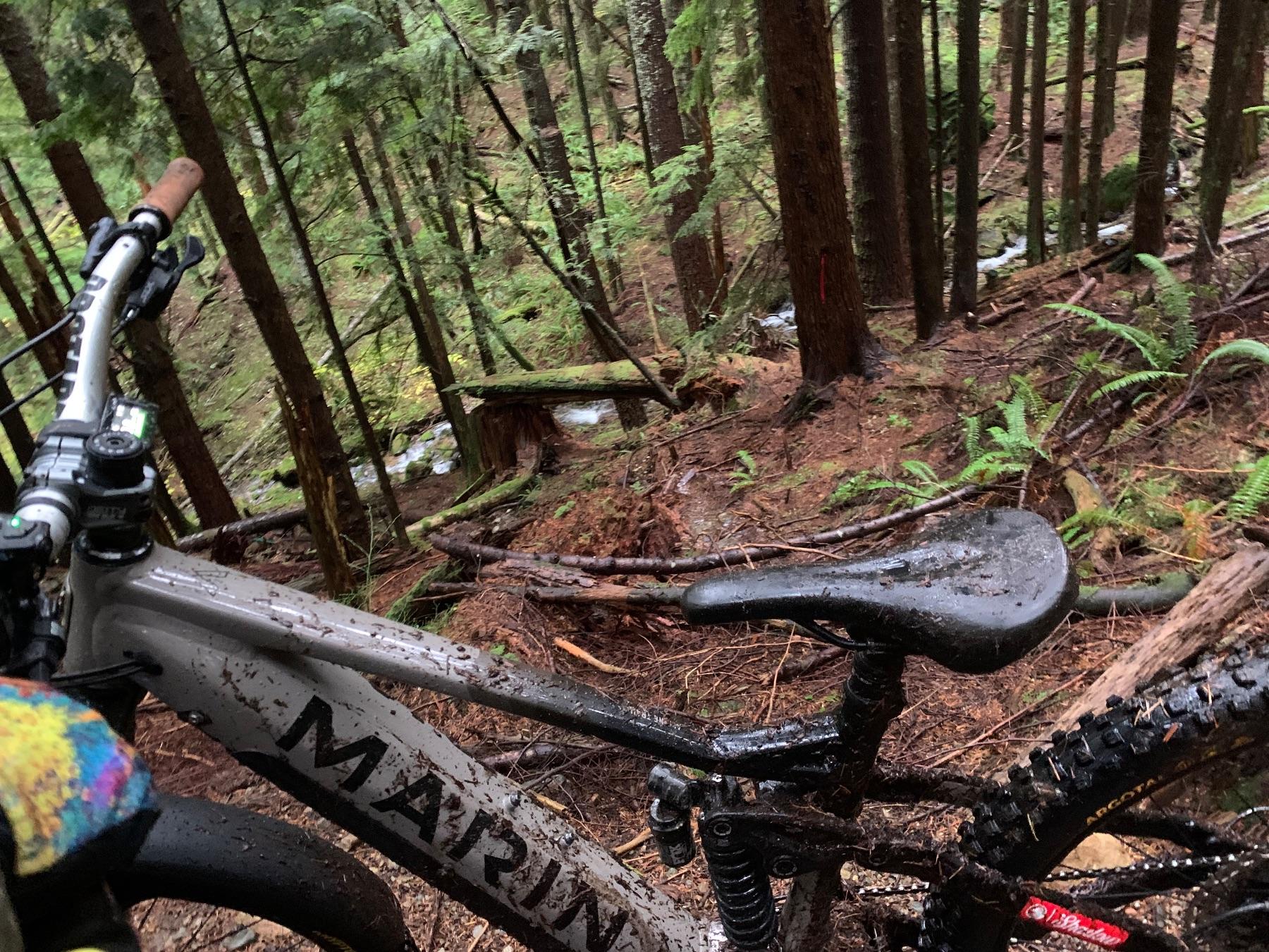 Trump Tariffs Making BMX Great Again - BMXmuseum.com Forums