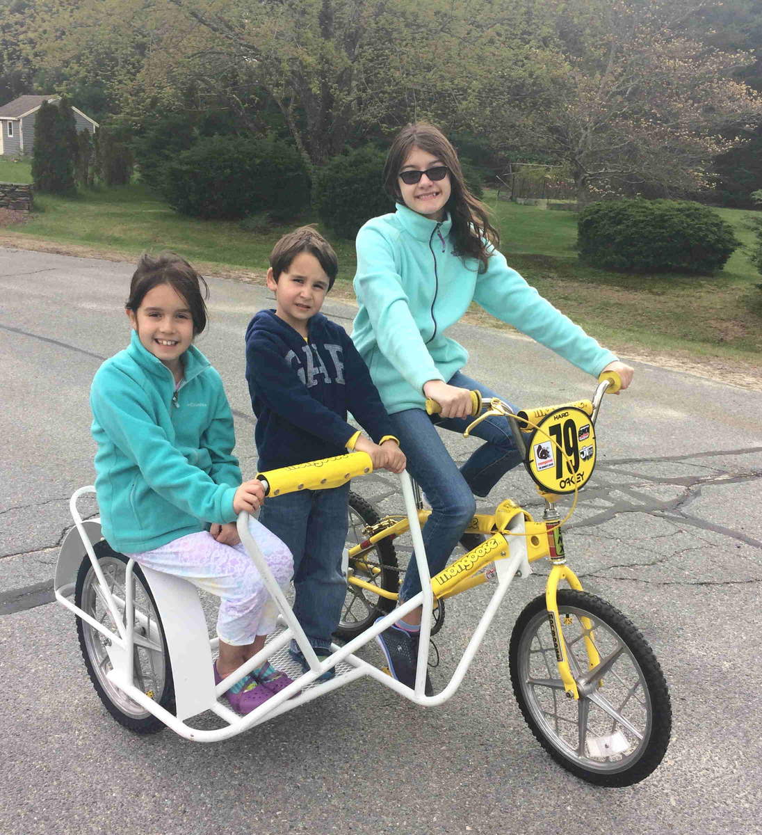 The official sidehack thread..... - BMXmuseum.com Forums