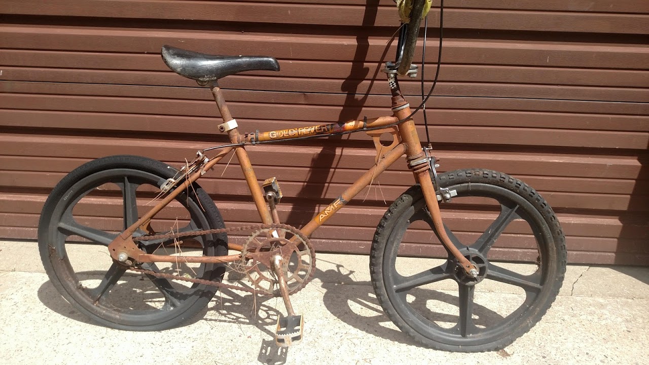 AMF Gold Fever - BMXmuseum.com Forums