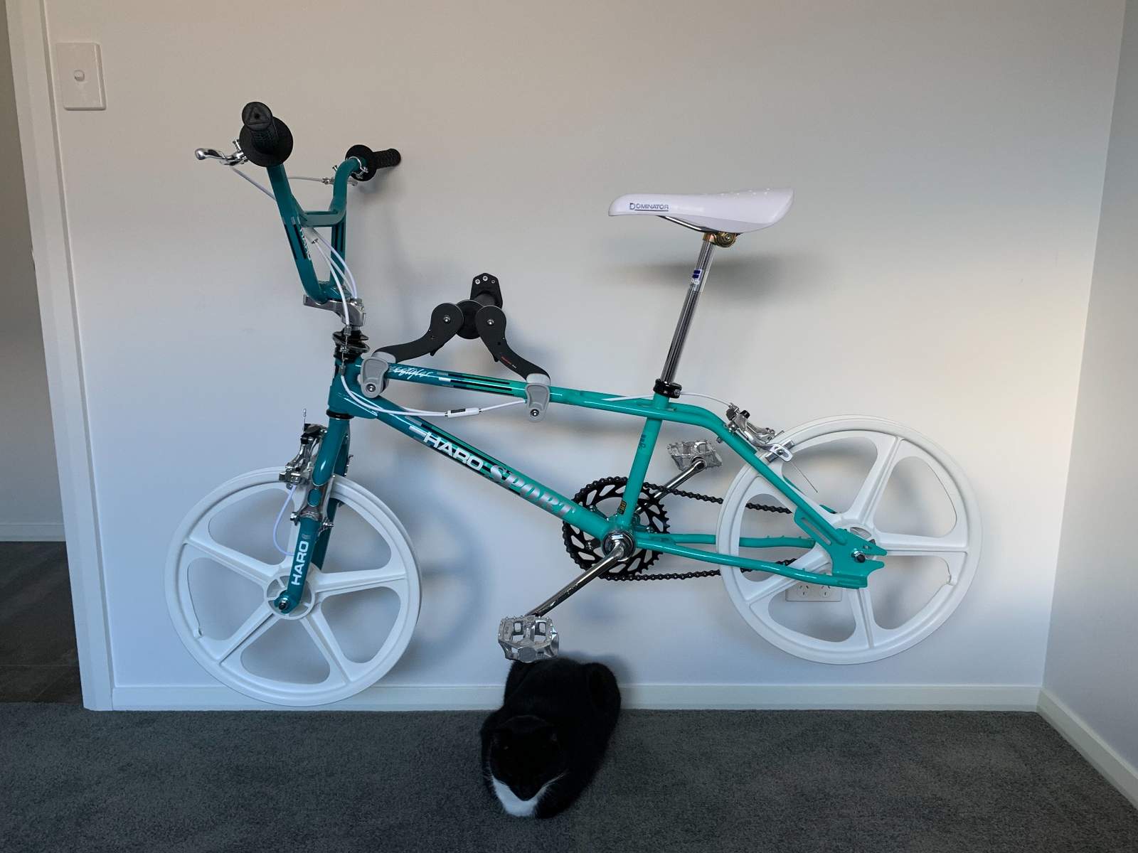 Wall Hung Bmx Bikes - BMXmuseum.com Forums