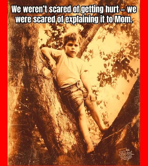 Post a meme!!! This is the new post a meme thread. Post 'em up ...