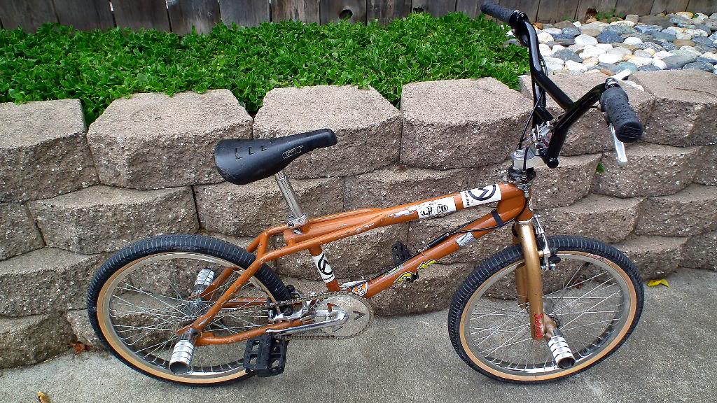 The Standard Byke Co. 1992-1993 Frame Registry - BMXmuseum.com Forums