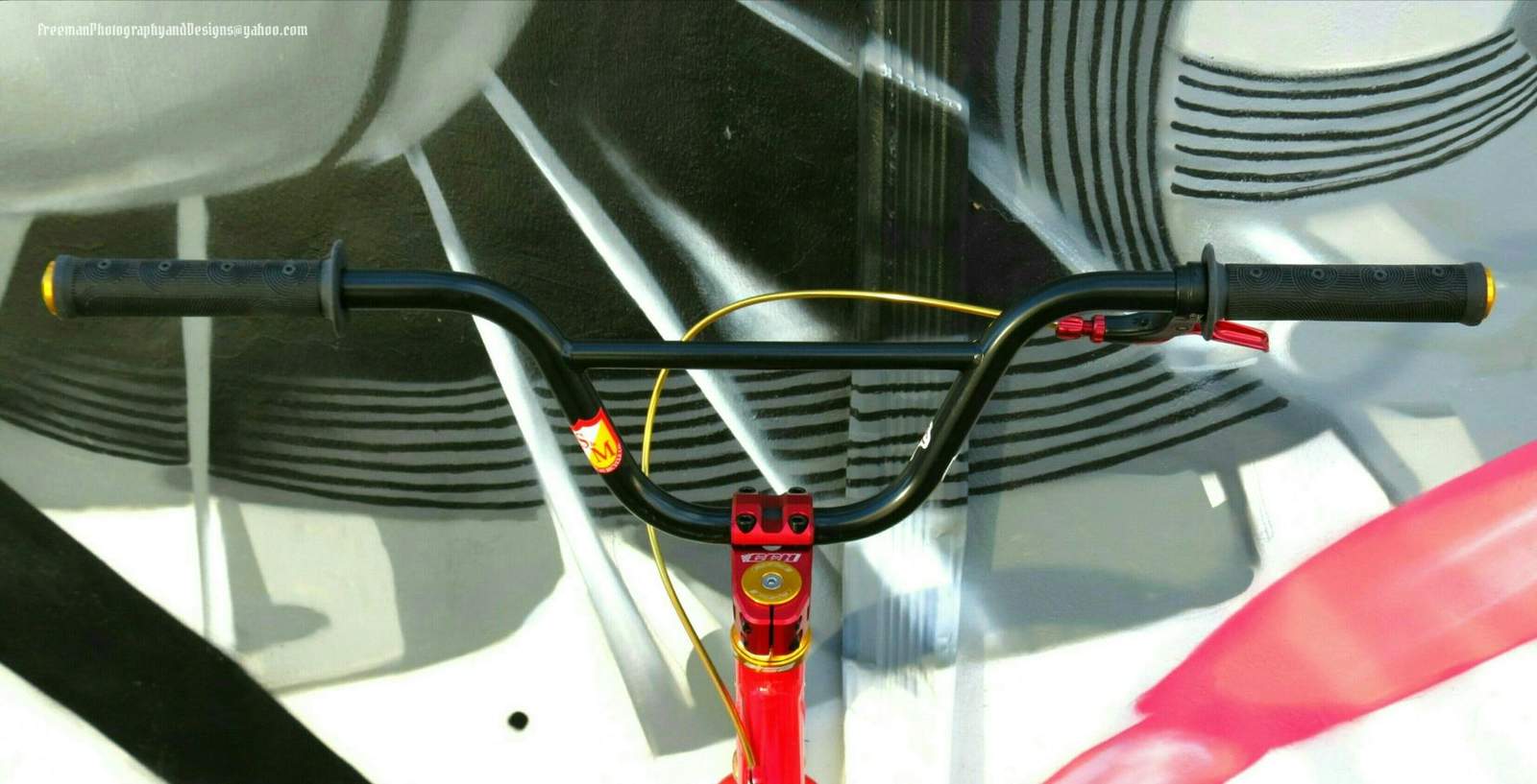 2006 FMF Pro Cruiser 24 - BMXmuseum.com Forums