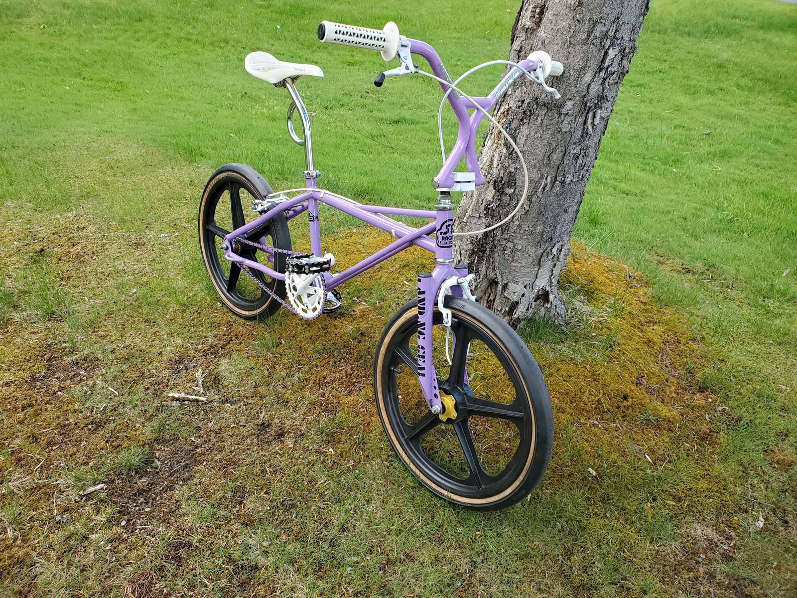 85 Quadangle Freestyle OG finish - BMXmuseum.com Forums