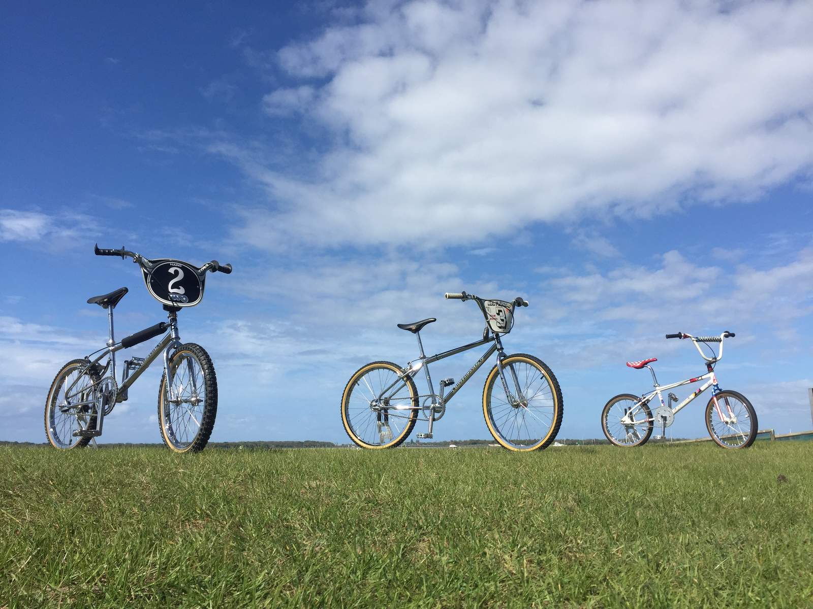 Official TIM JUDGE thread. - BMXmuseum.com Forums