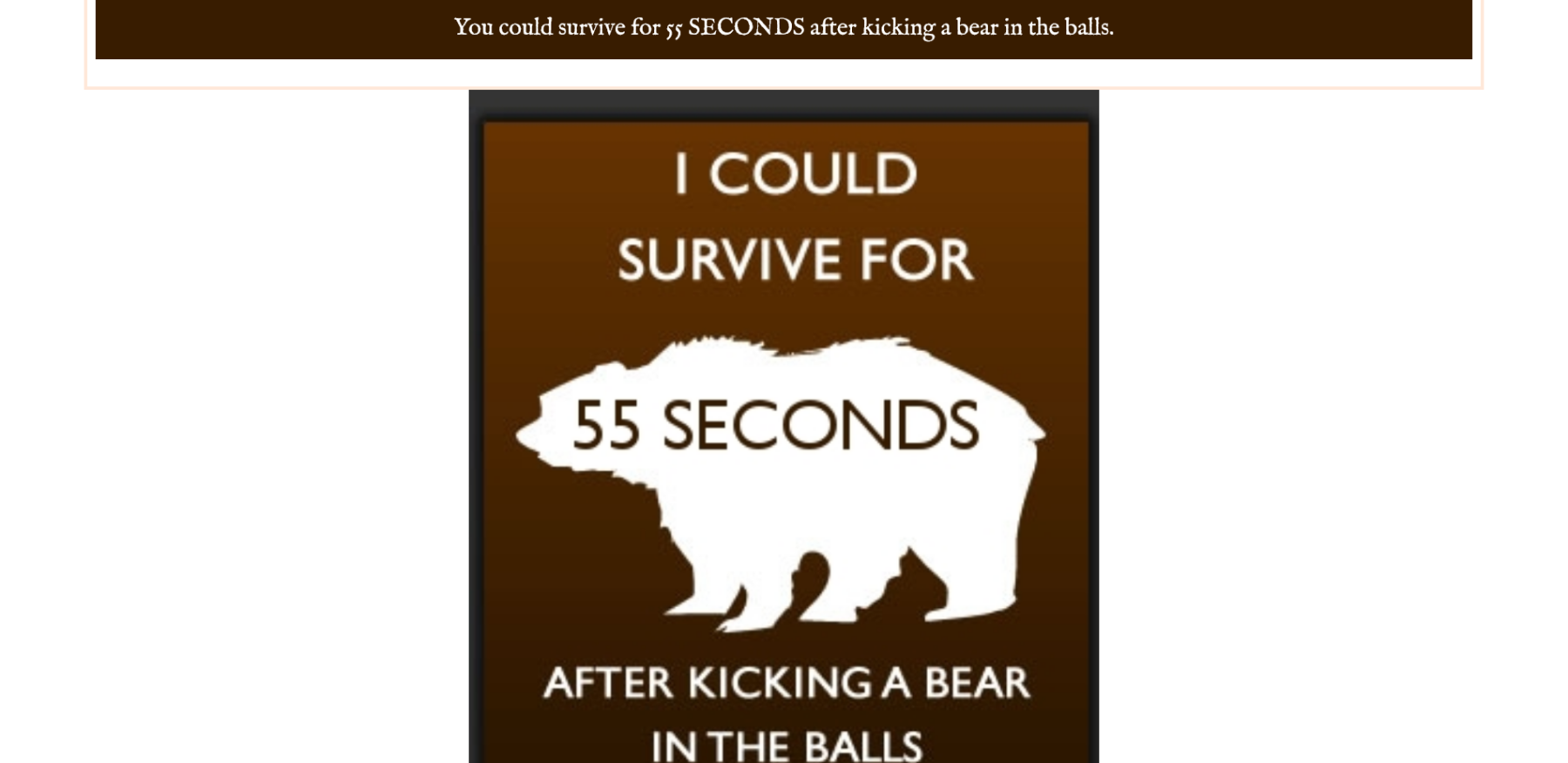 how long could you survive after kicking a bear in the balls? II - BMXmuseum.com Forums
