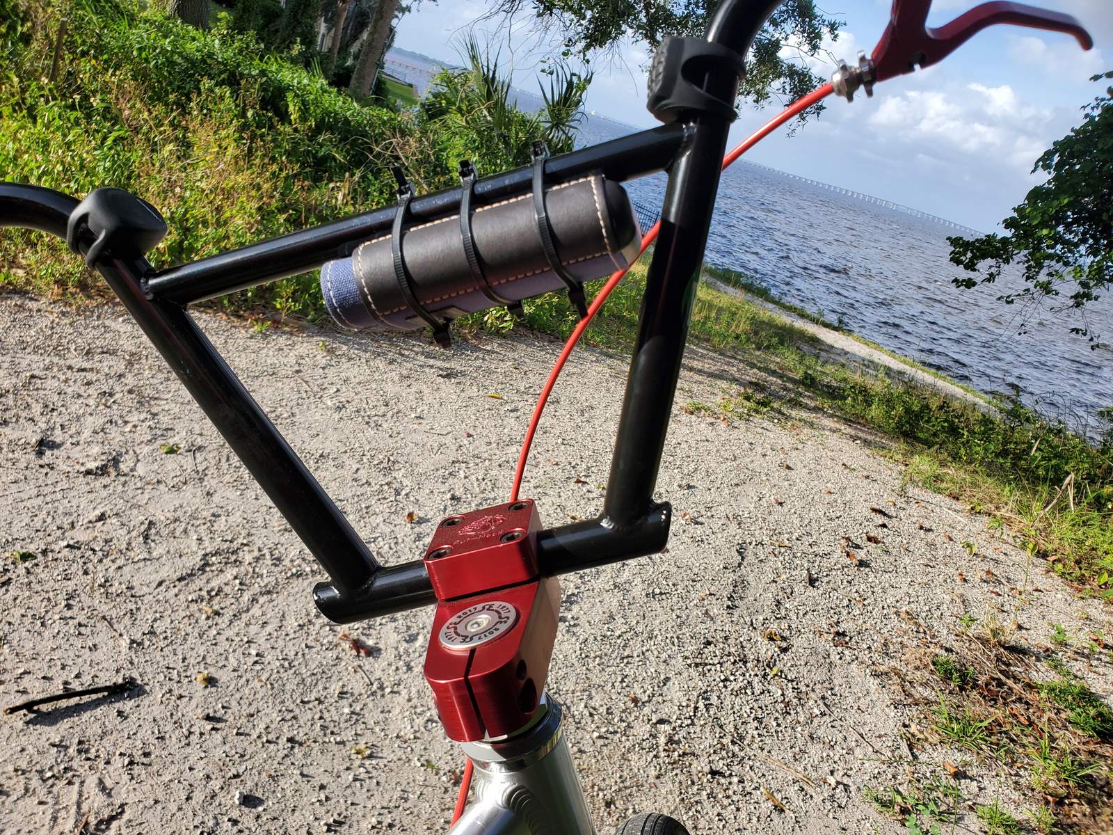 Knight new retro MINI POWER DISC Spider - BMXmuseum.com Forums