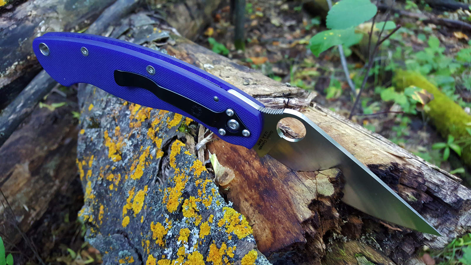 Forget guns lets see your fav sharp pointy metal sticks!!! - BMXmuseum ...