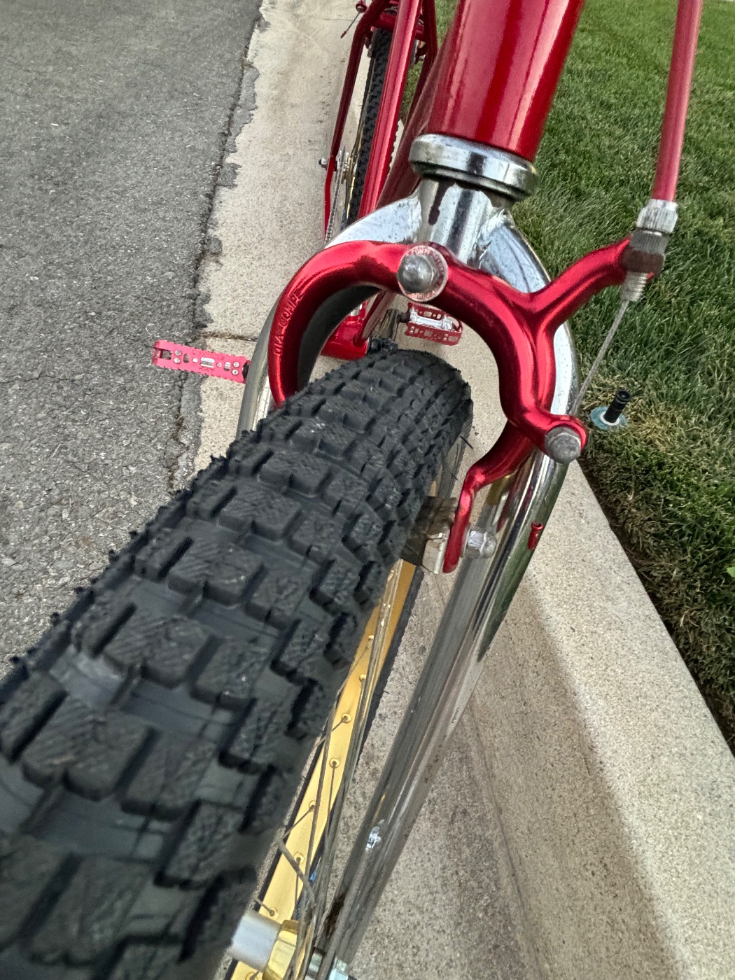 26” Champion squareback double down tube find of a lifetime! N ...