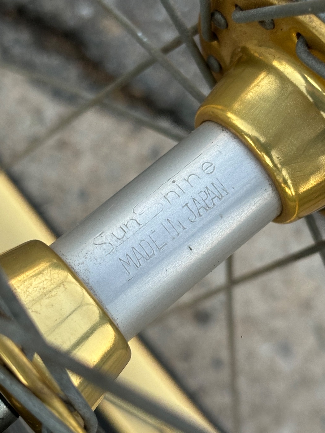 26” Champion squareback double down tube find of a lifetime! N ...