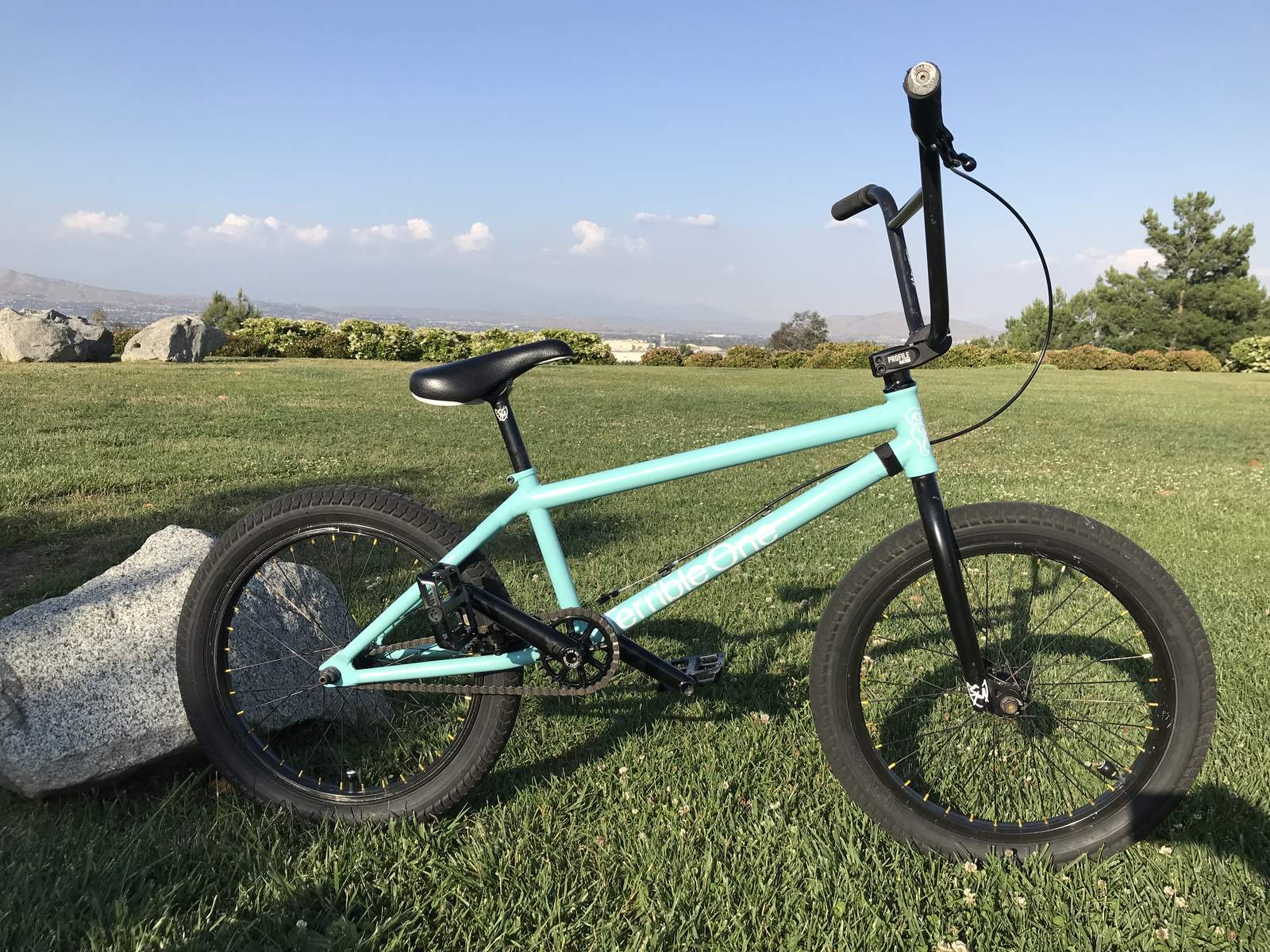 THE OFFICIAL 2019 BMX MUSEUM SPRING BO COMPLETED THREAD - FREESTYLE ...