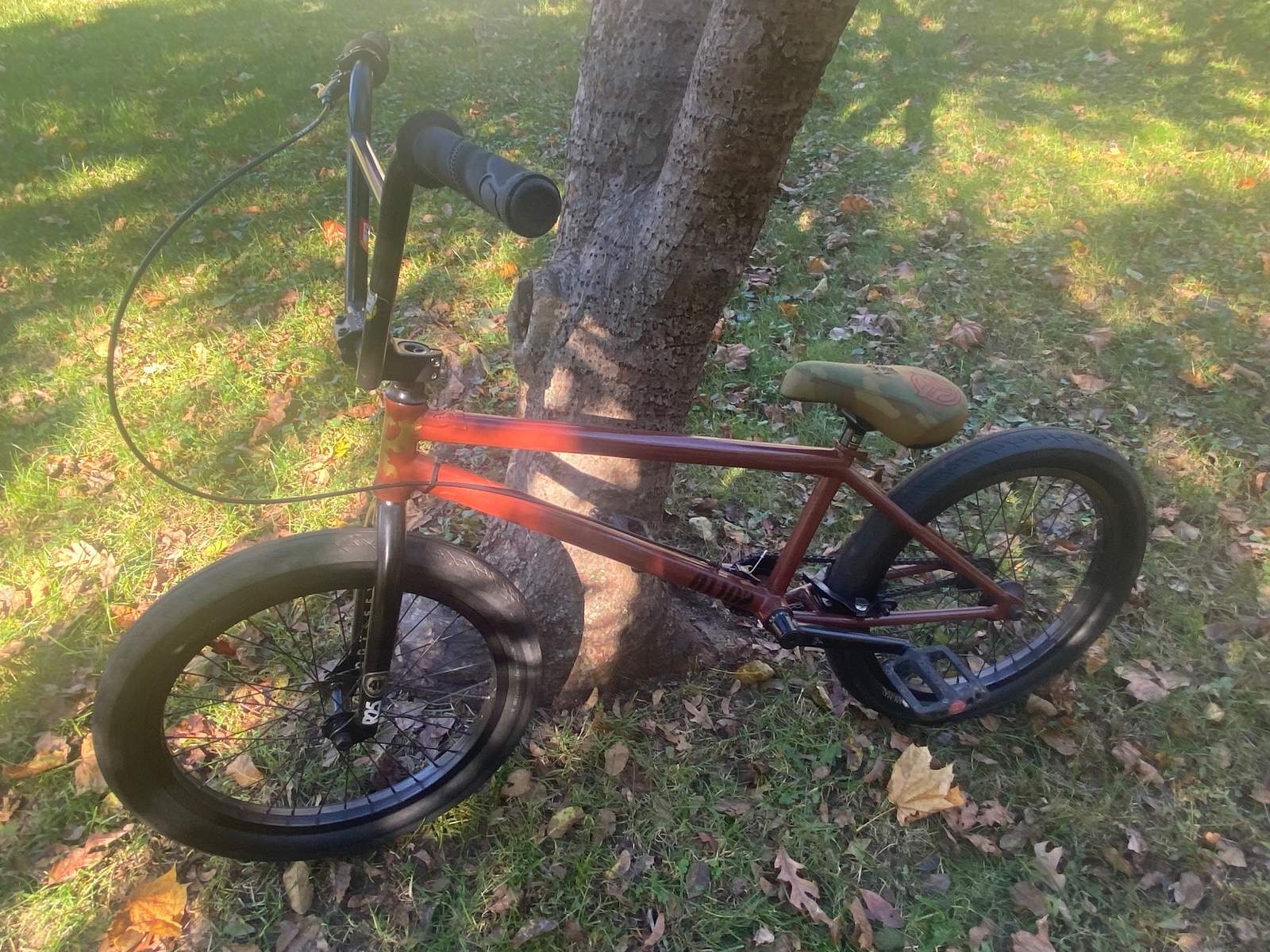 BROWN/ROOTBEER COLORED BIKES, LETES SEE EM - BMXmuseum.com Forums