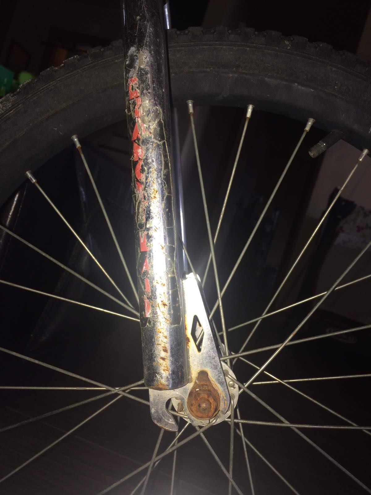 BMXmuseum.com Reference / 1980 Diamond Back Duel Dropout