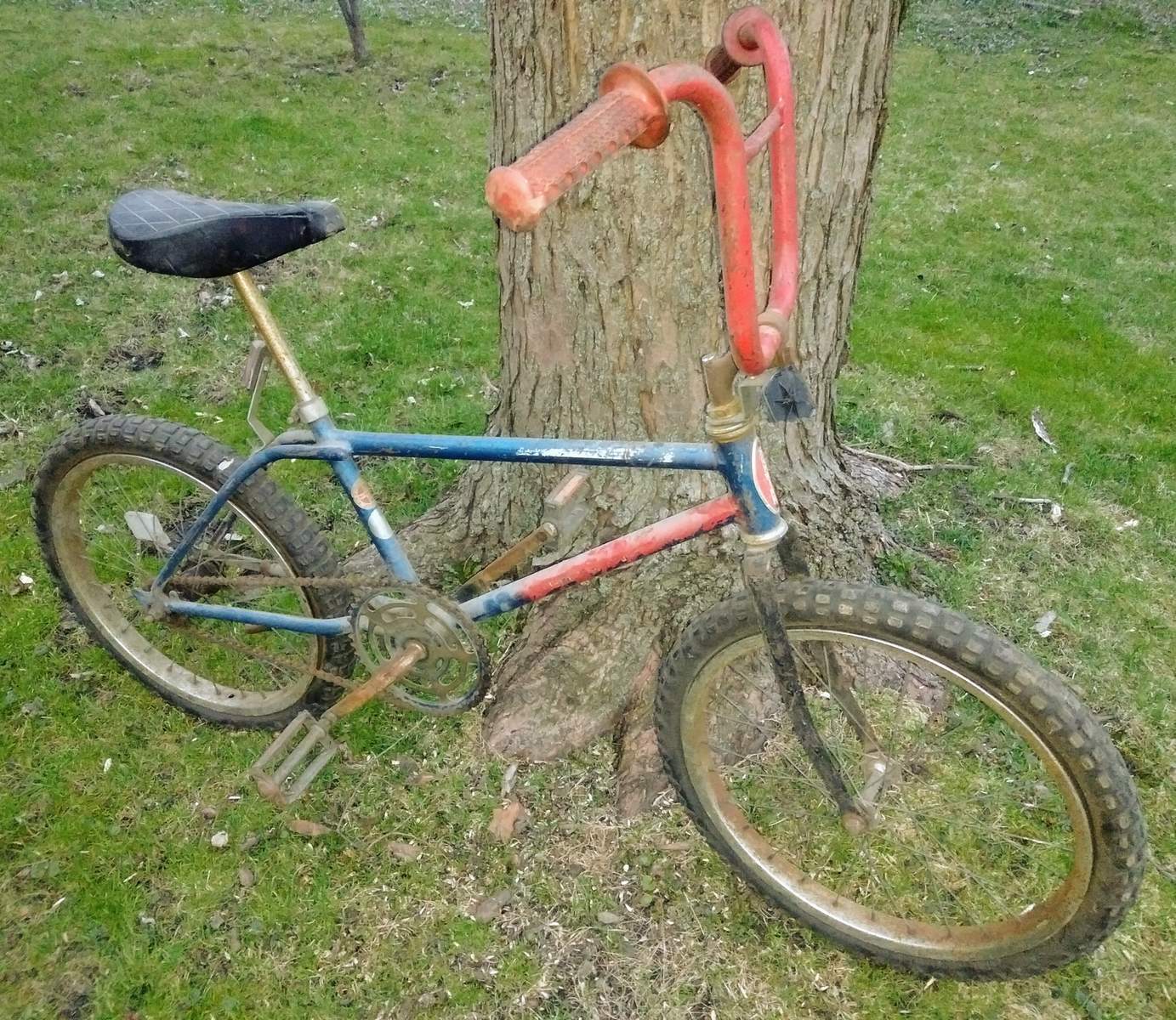 My Covid 80 Scrambler build. - BMXmuseum.com Forums