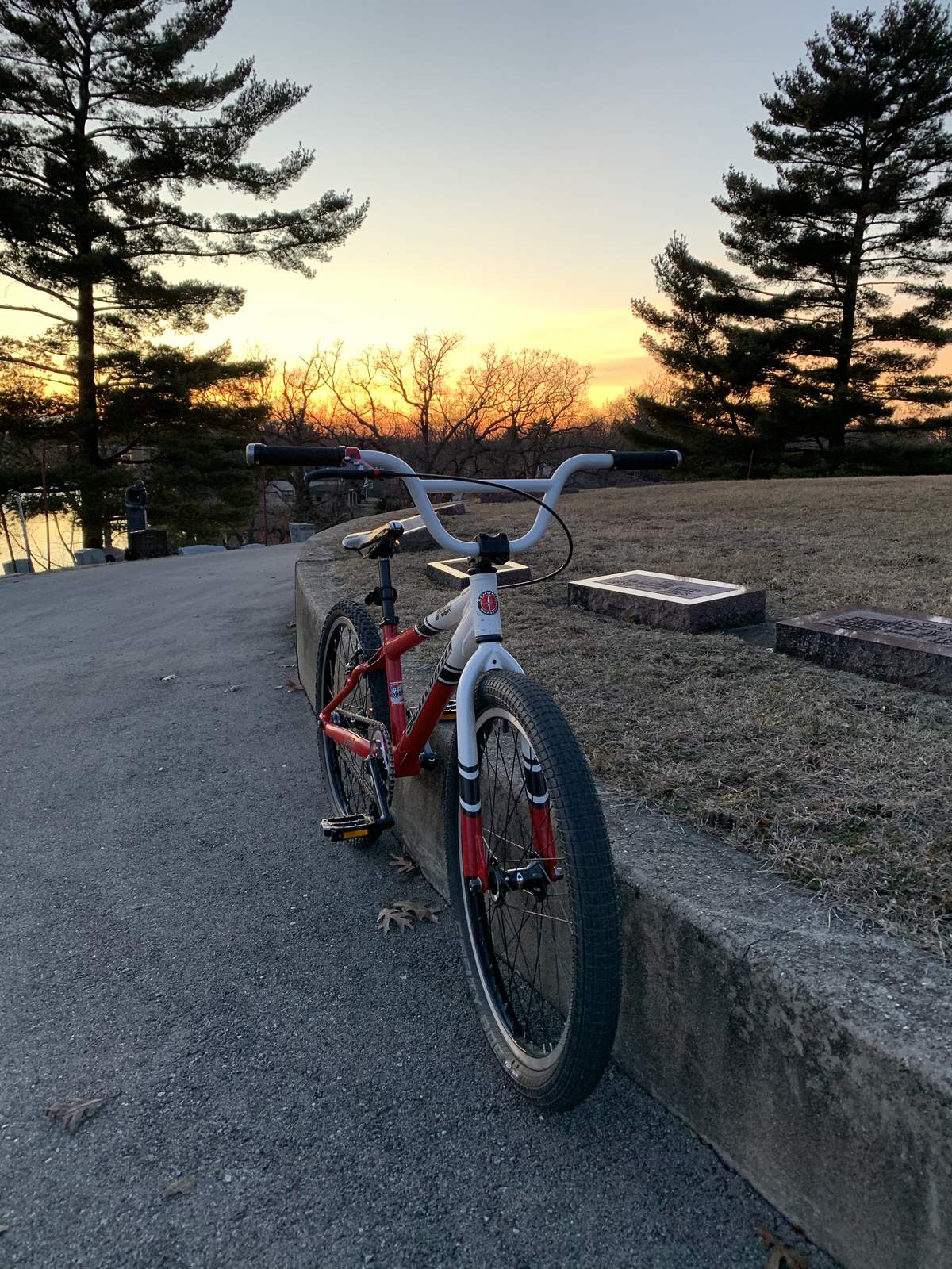 Riding into the SUNSET!!on a bmx - BMXmuseum.com Forums