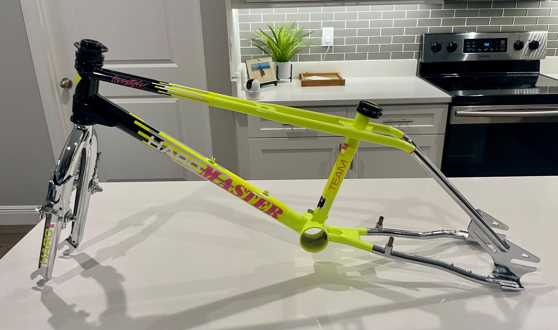 87 Haro Master Blaster Exposure - BMXmuseum.com Forums