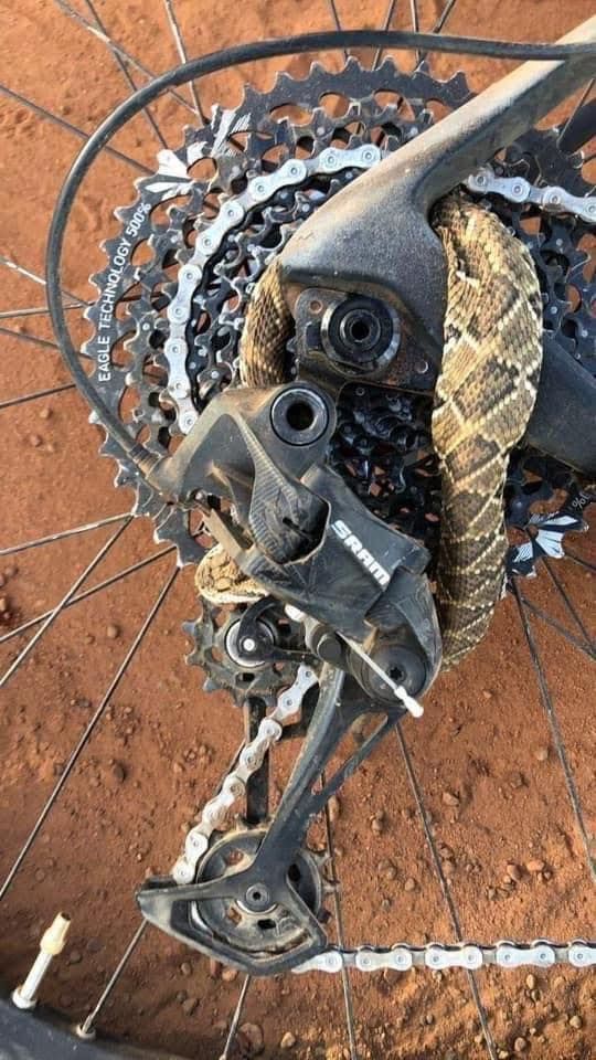 ghetto repair jobs. lets see them. - BMXmuseum.com Forums