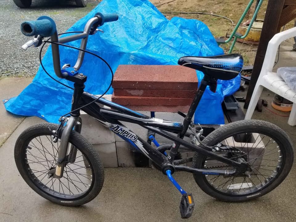 Schwinn nock-off Quadangle? - BMXmuseum.com Forums