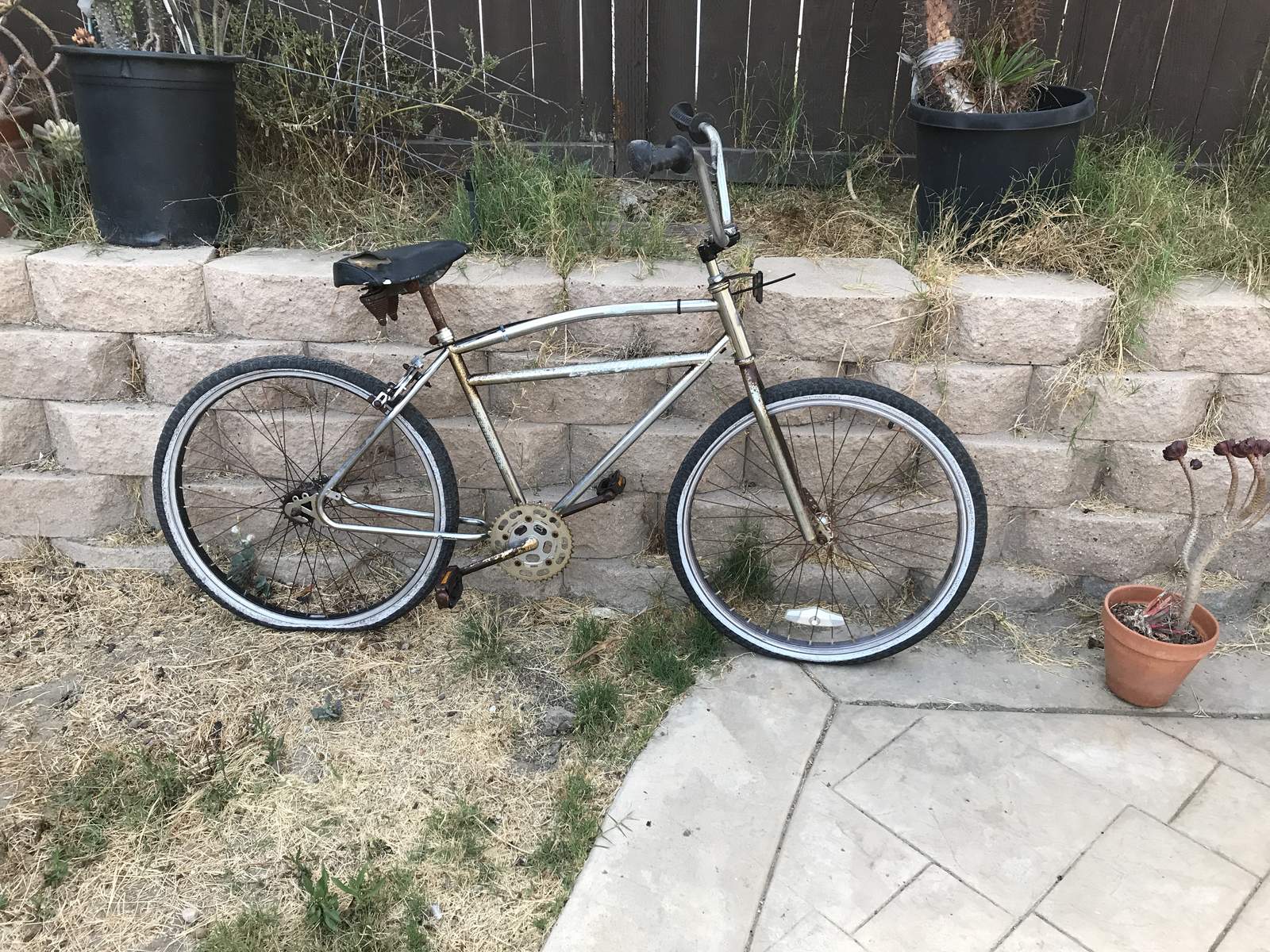 Today's cruiser strandie scores - BMXmuseum.com Forums