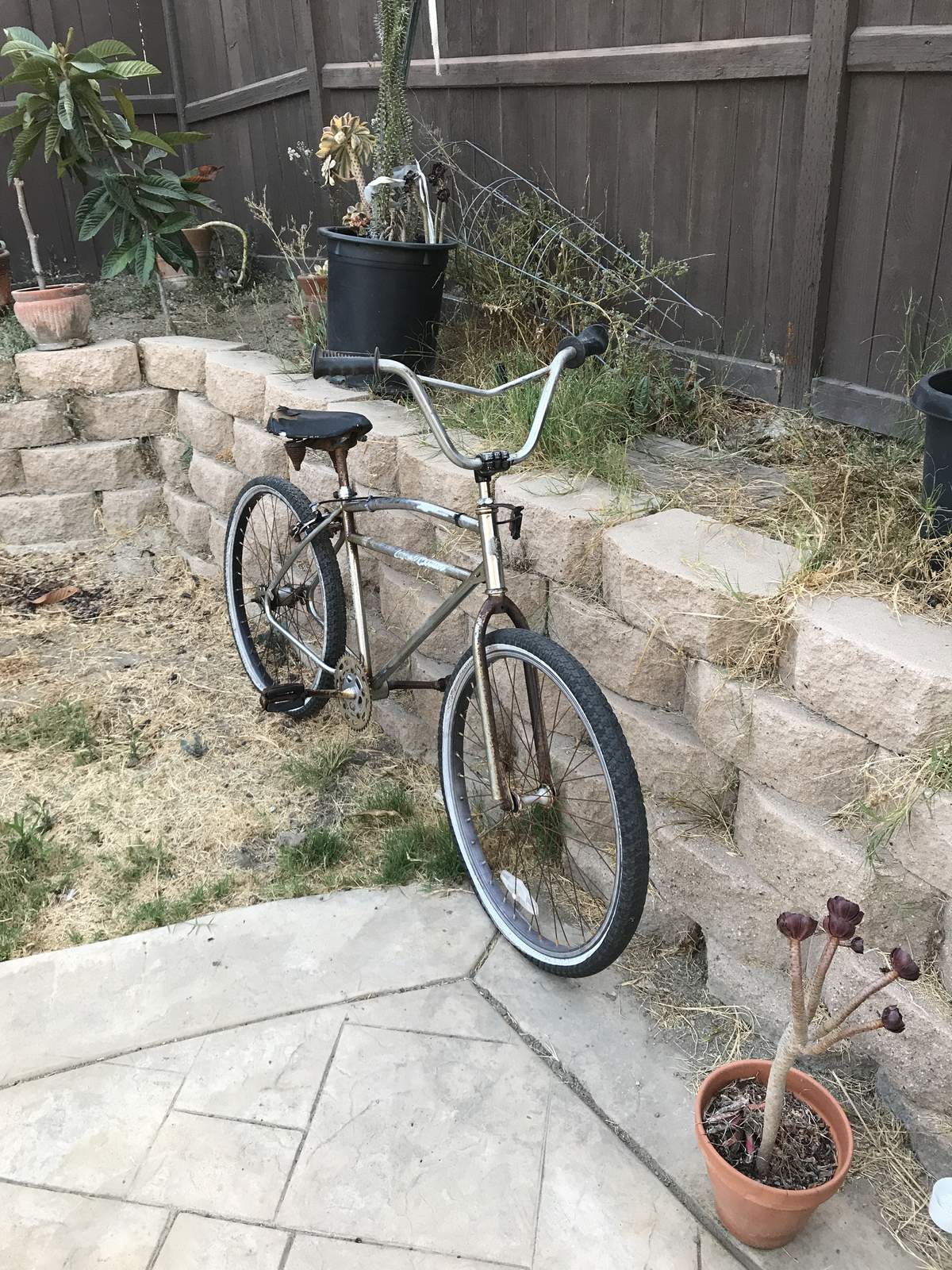 Today's cruiser strandie scores - BMXmuseum.com Forums