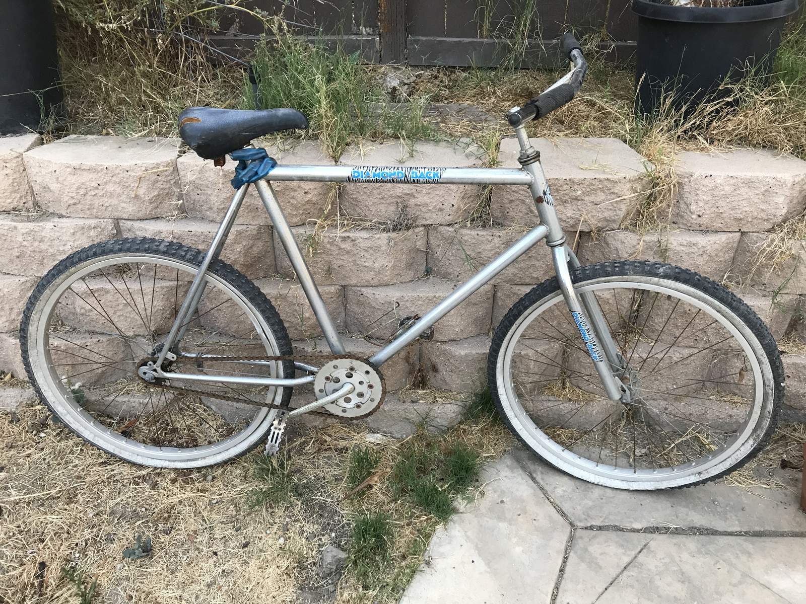 Today's cruiser strandie scores - BMXmuseum.com Forums