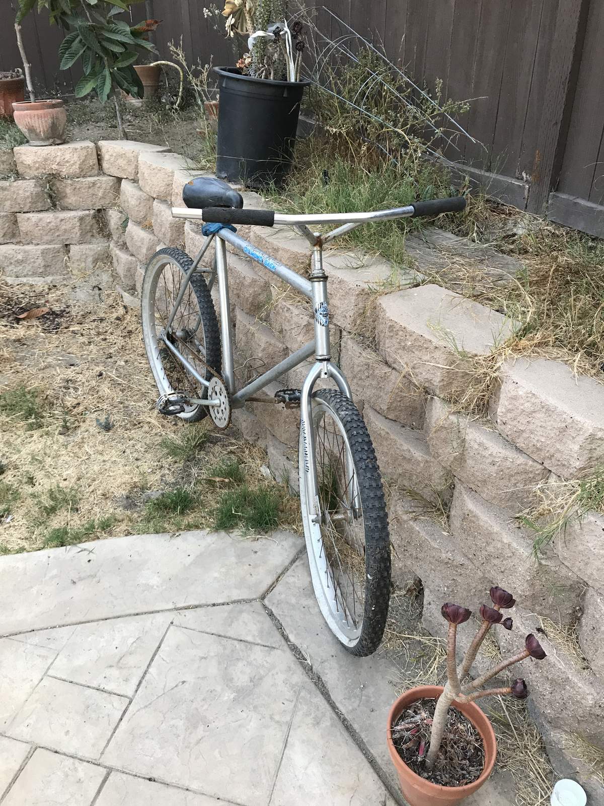 Today's cruiser strandie scores - BMXmuseum.com Forums