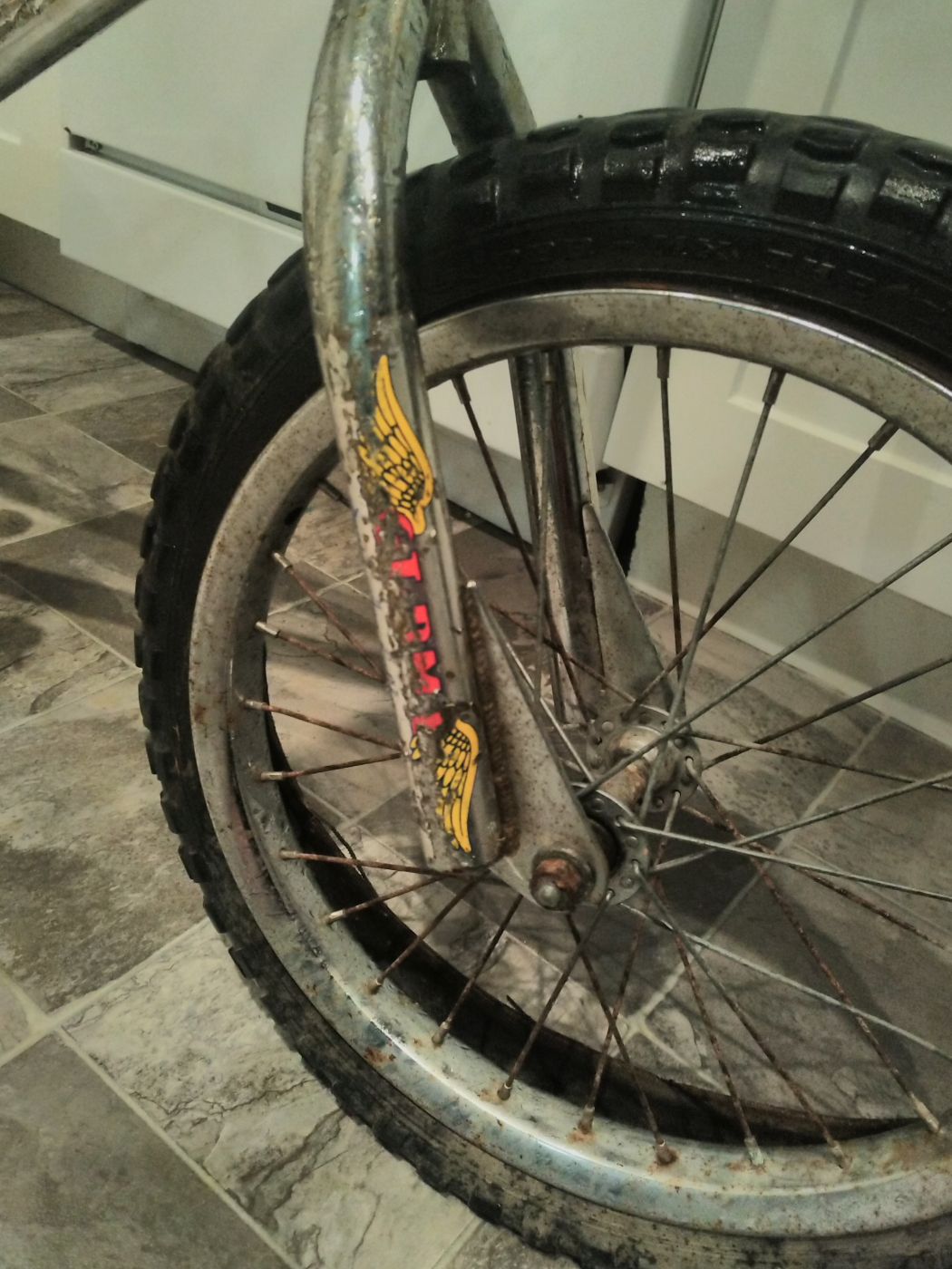 Gt pit bike - BMXmuseum.com Forums