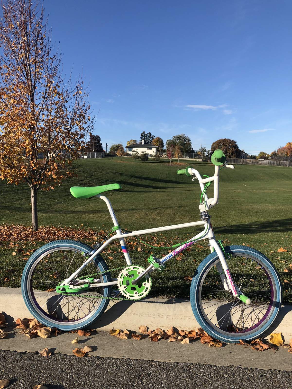 1986 Randor Freestyle XZ - BMXmuseum.com Forums