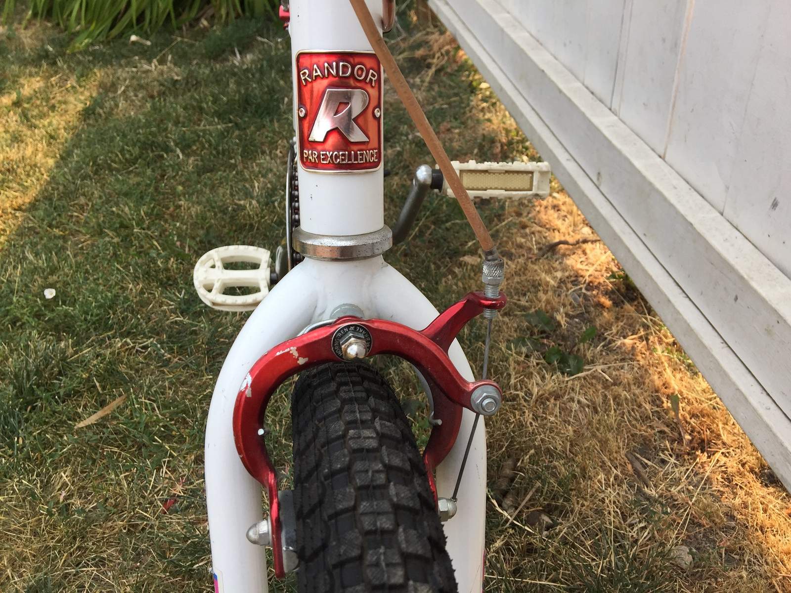 1986 Randor Freestyle XZ - BMXmuseum.com Forums