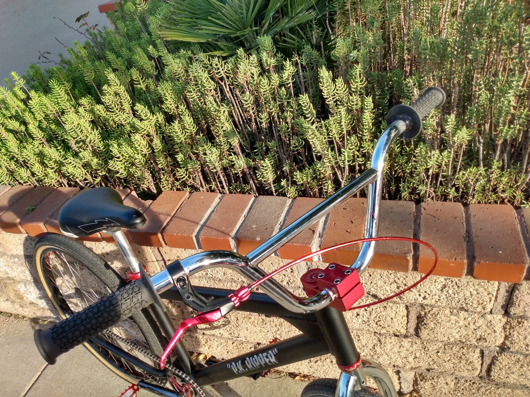 My first and only Retro Cruiser - BMXmuseum.com Forums