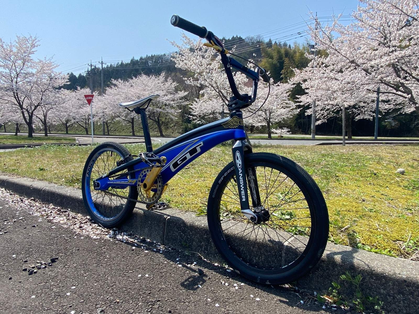 2010 GT Power Series Ultra Box 2 - BMXmuseum.com Forums