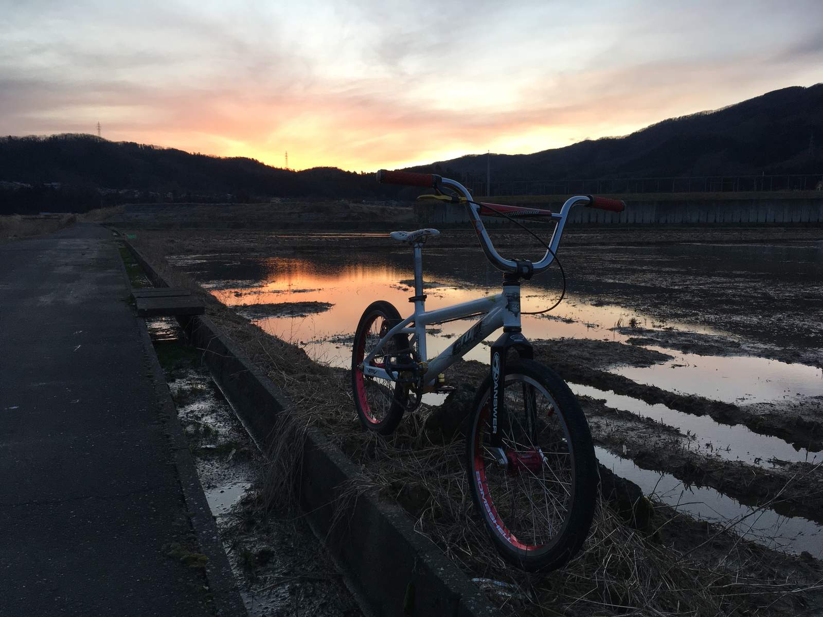 Riding into the SUNSET!!on a bmx - BMXmuseum.com Forums