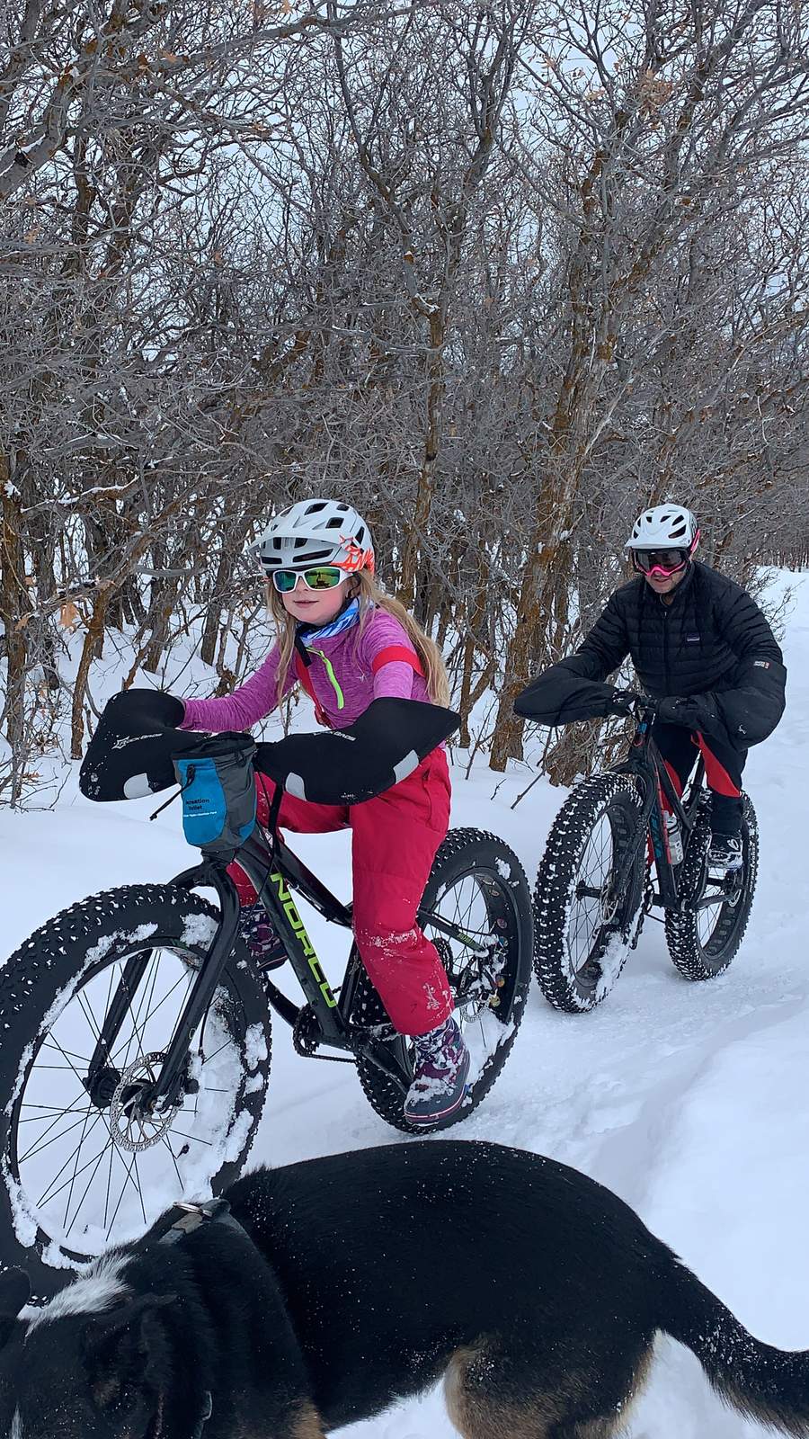 Any Fat Bikers in here? - BMXmuseum.com Forums