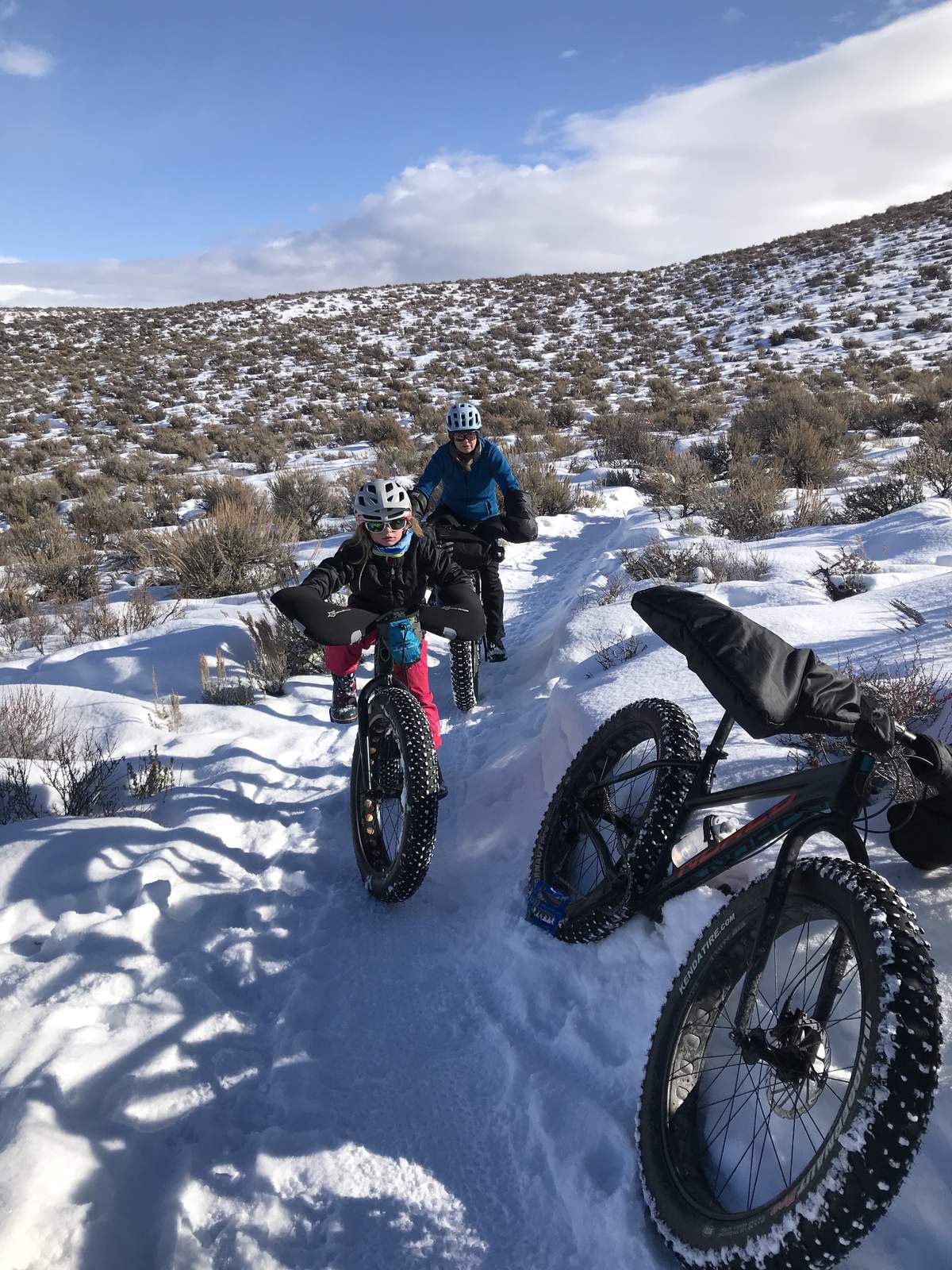 Any Fat Bikers in here? - BMXmuseum.com Forums