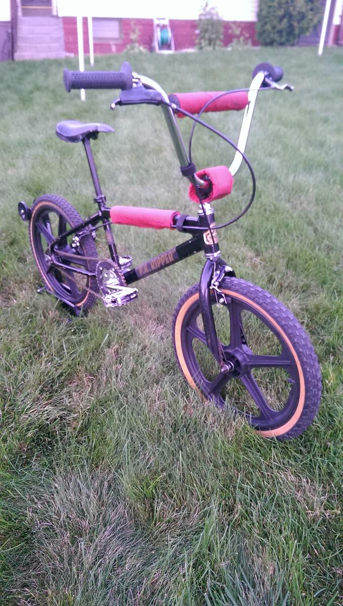 2017 Late Summer Old School BMX Jam Hatfield, Ma - BMXmuseum.com Forums