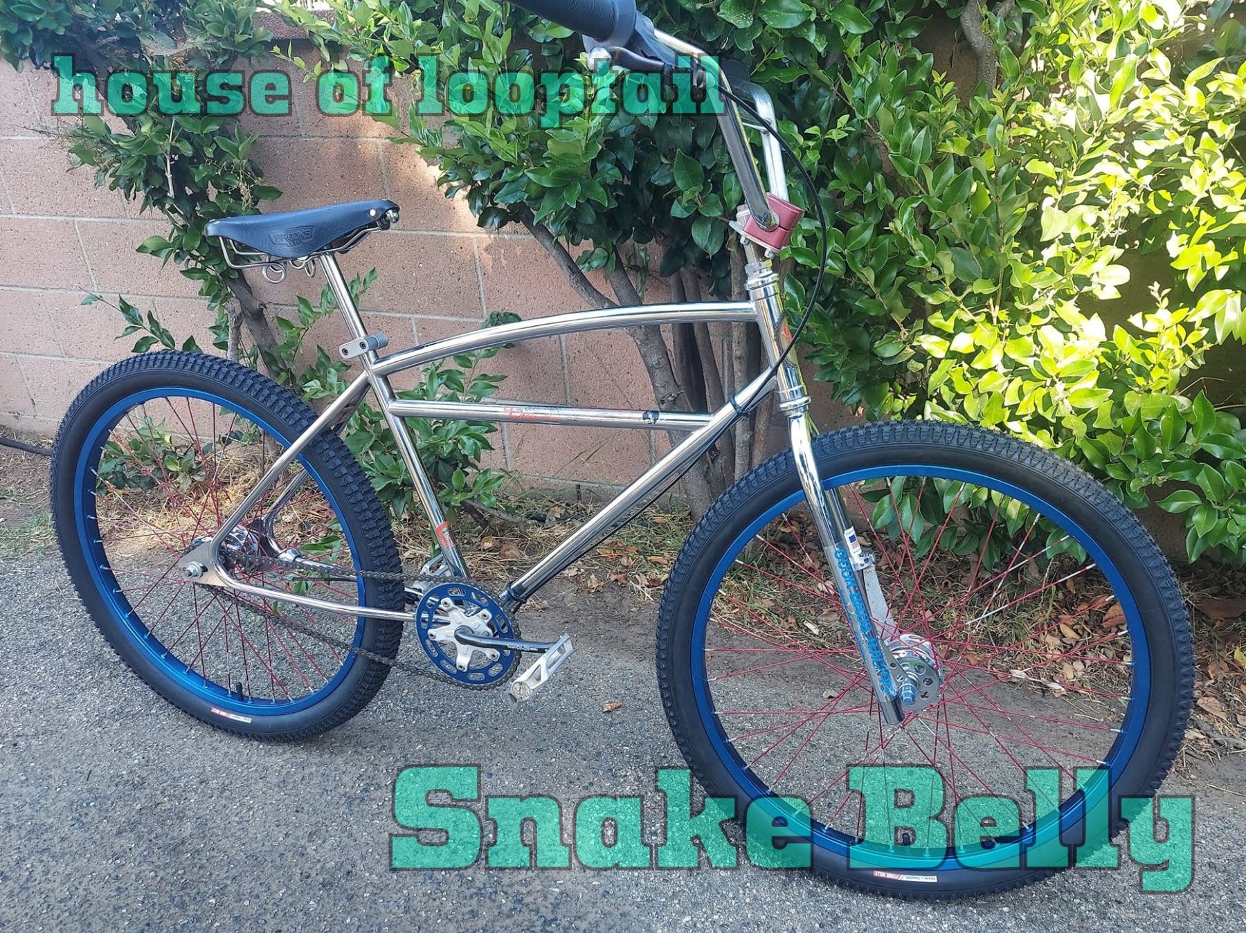 Brand-New, High-Quality 26" Snake Belly Tires - BMXmuseum.com Forums
