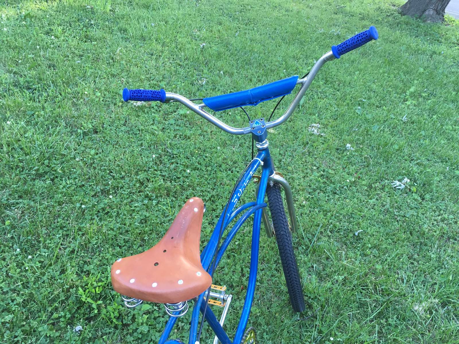 Is this a Cruiser, Strandie, or Klunker? - BMXmuseum.com Forums